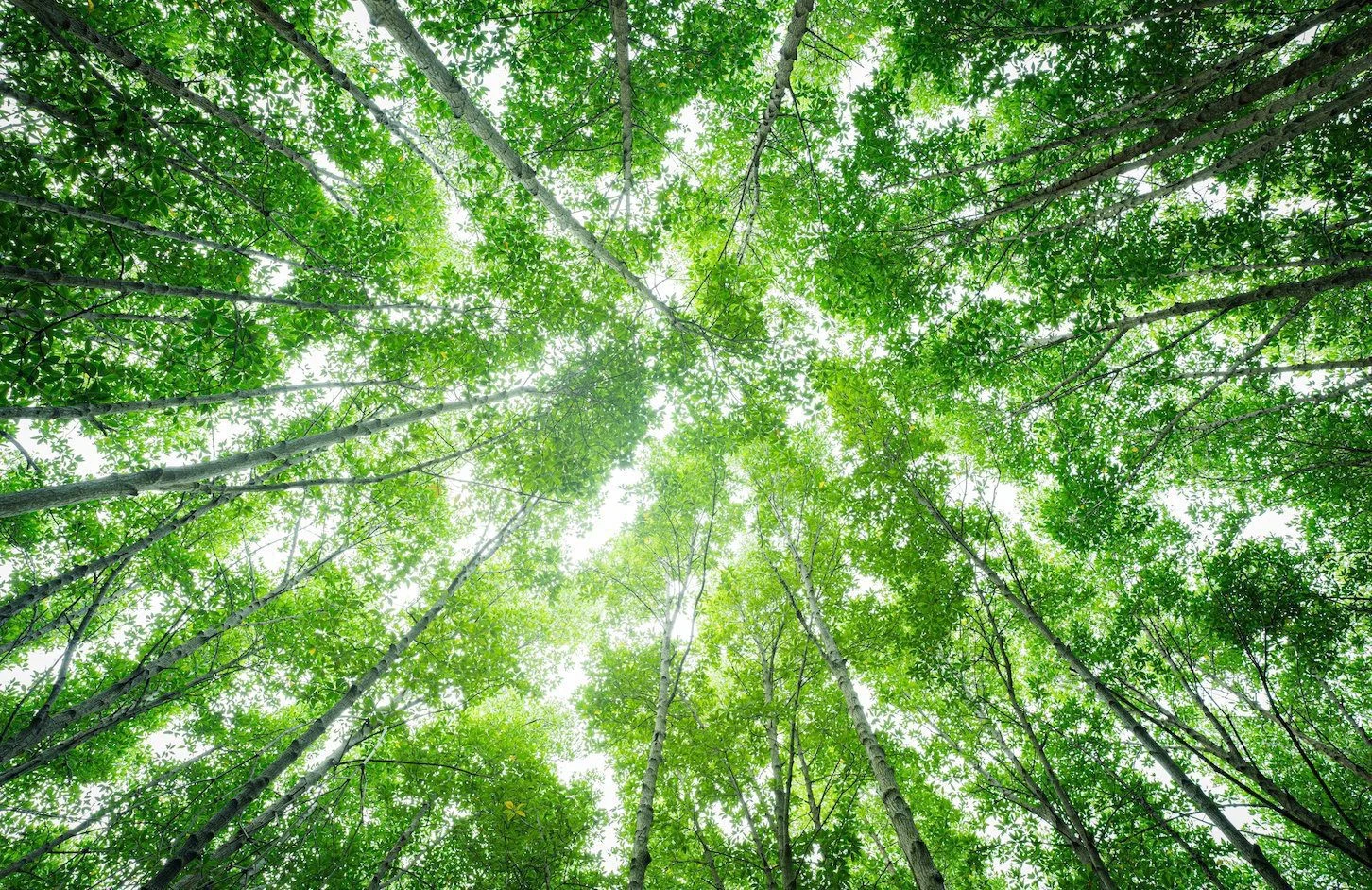 Elbow Beach to back three dozen green startups with £80m climate fund ...
