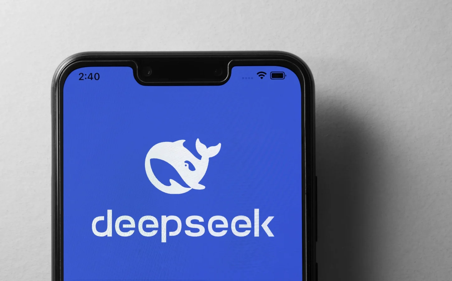 DeepSeek breakthrough 'reinforces investment thesis' says AI VC ...