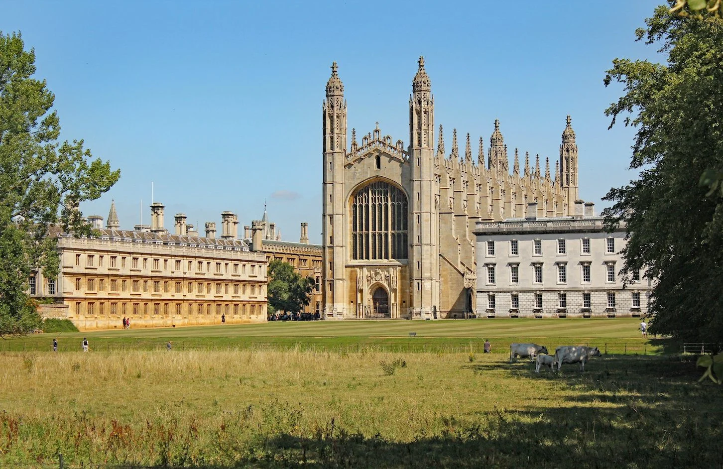 Cambridge startups bucked 2024 investment trends with bumper year - UKTN